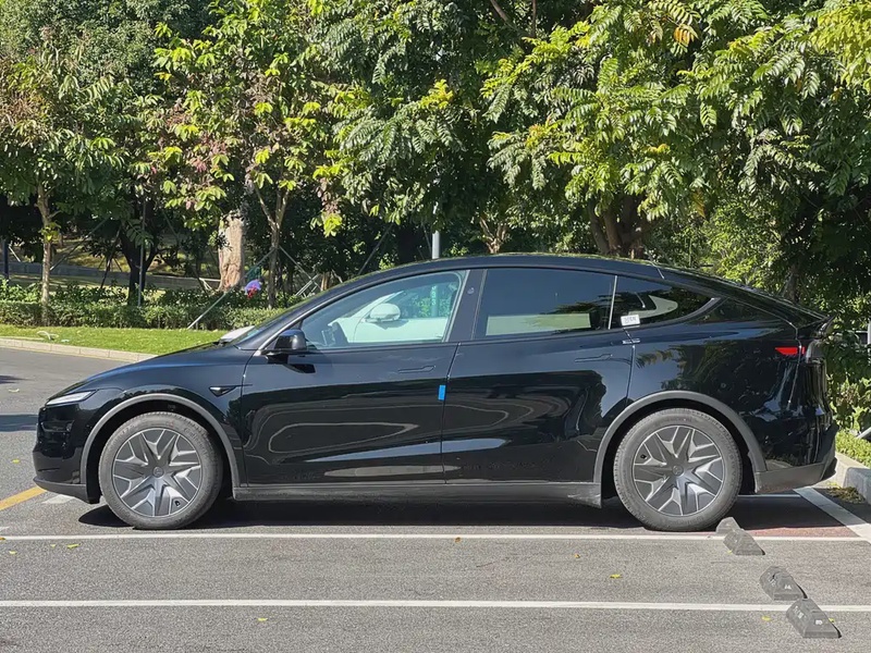 Tesla Model Y 2025 Electric Long Range All-Wheel Drive Китай